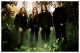 10 bandas imprescindibles del Doom Metal | The Metal Circus